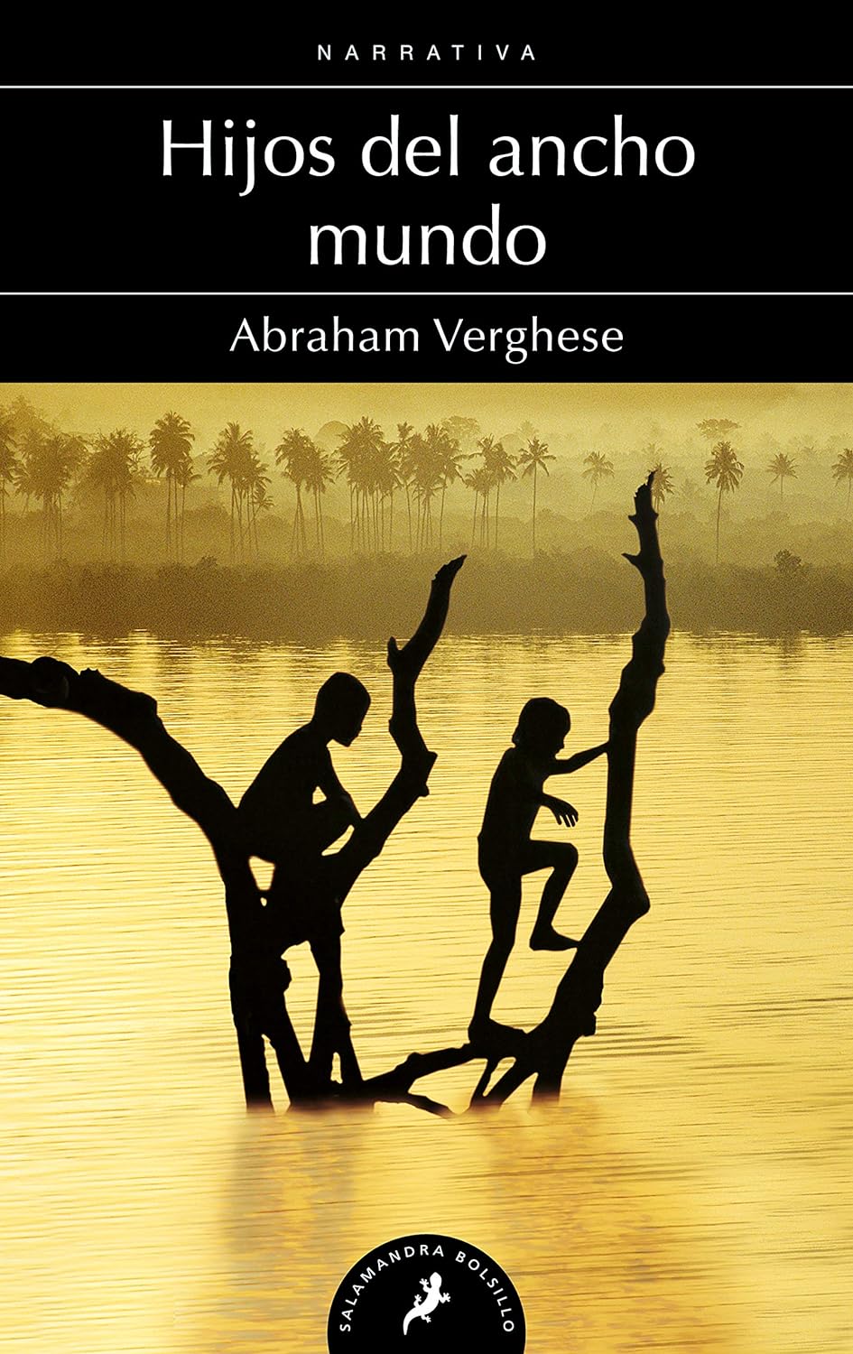 The best books by the fascinating Abraham Verghese 📚 2025